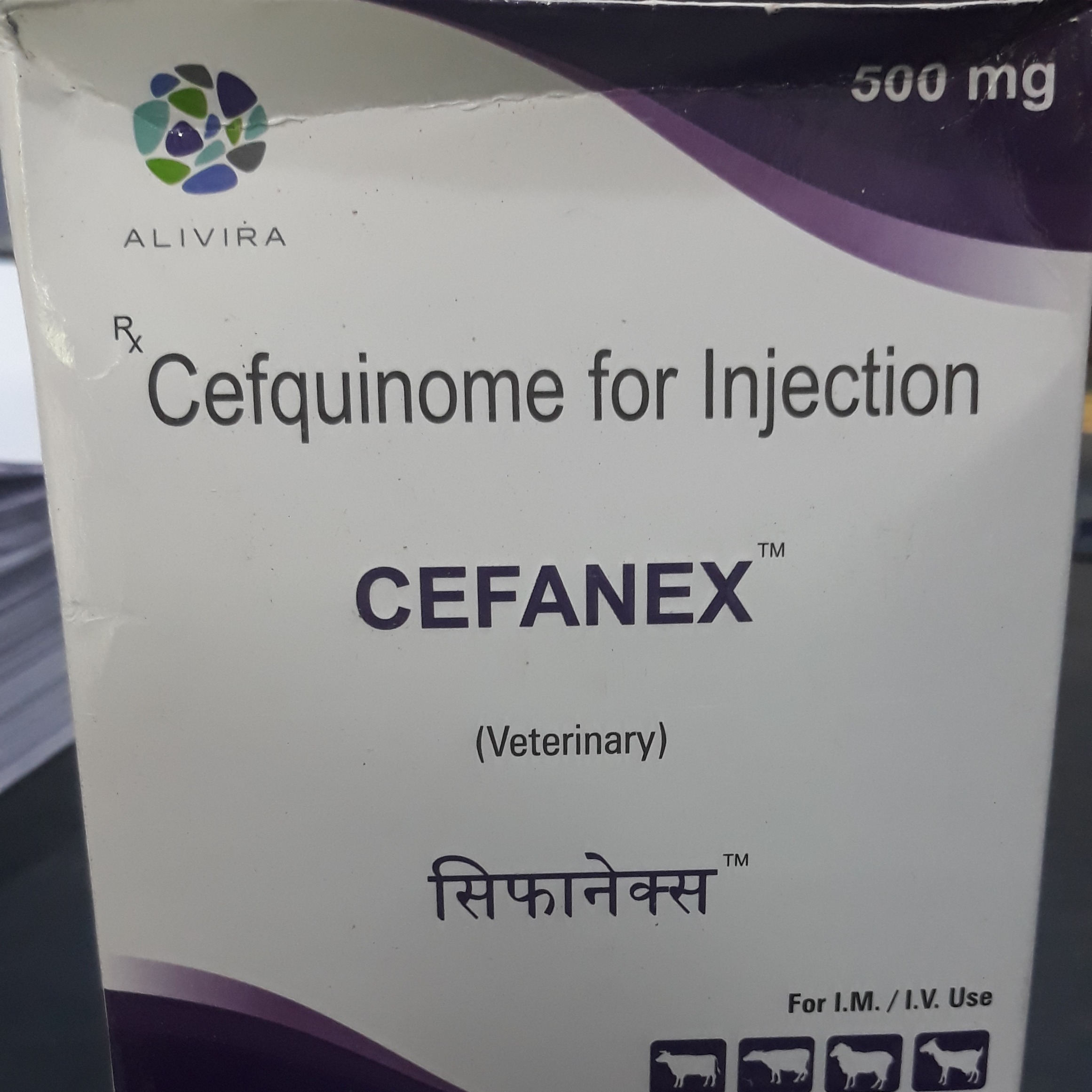 Cefanex 500 Mg Injection - Dr. KP Kathuria Chemist