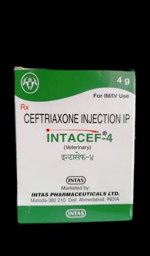 Intacef 4 Injection - Dr. KP Kathuria Chemist
