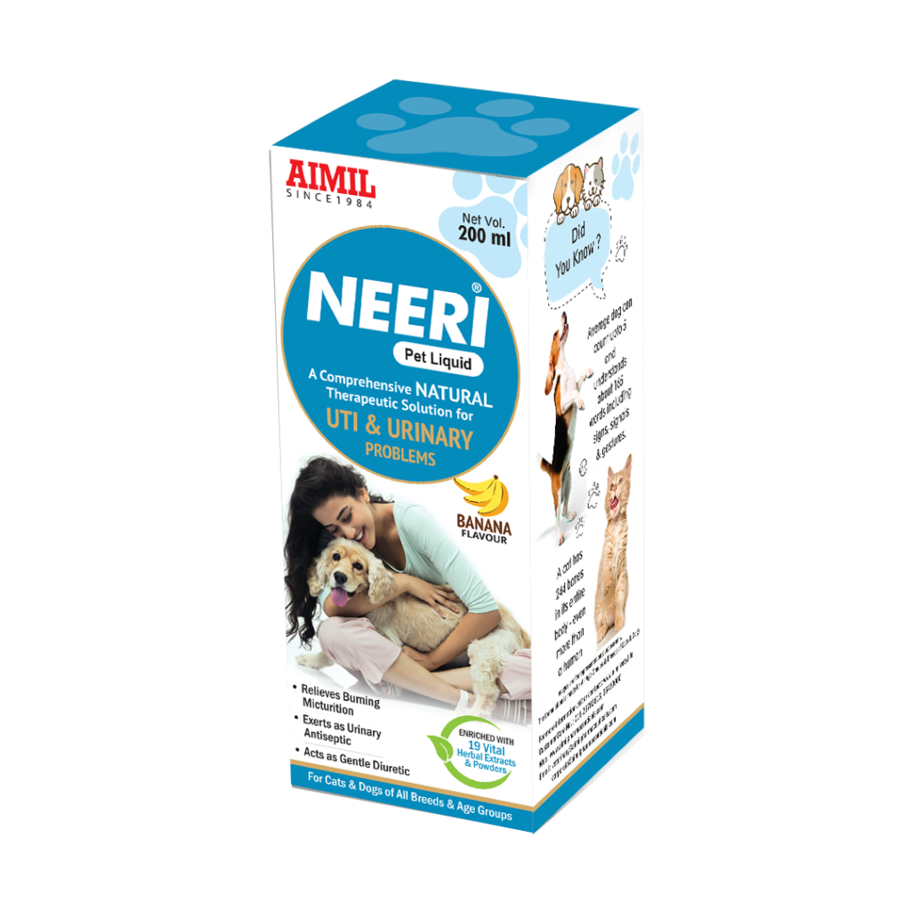 Vental Meo Tablet 3 Tablets - Dr. KP Kathuria Chemist